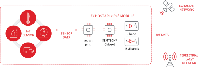 LoRa® Enabled Massive IoT Network | EchoStar Mobile